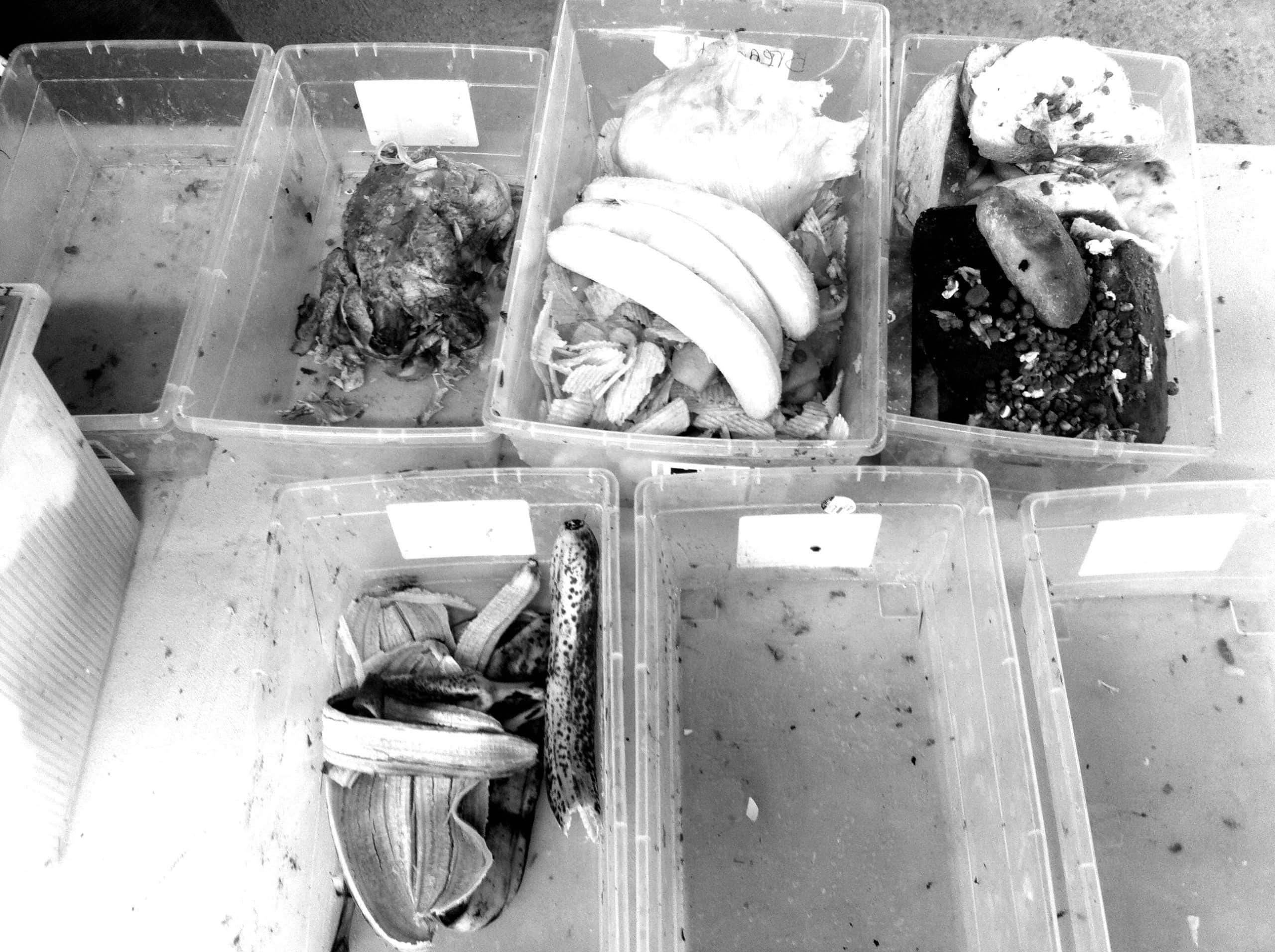 The Food Waste Diary Experiment in Italy | Spreco Zero